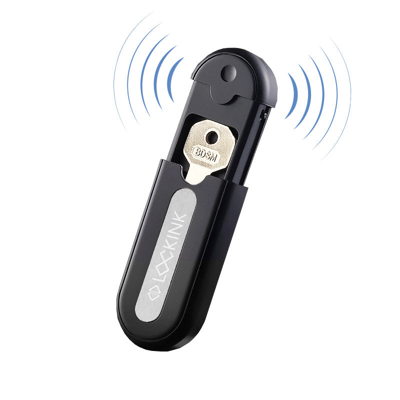 LOCKINK Remote Chastity Key Box – metalchastity