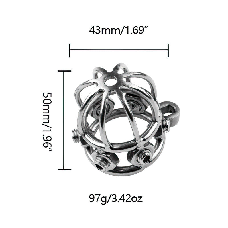 Painful Chastity Cage – metalchastity