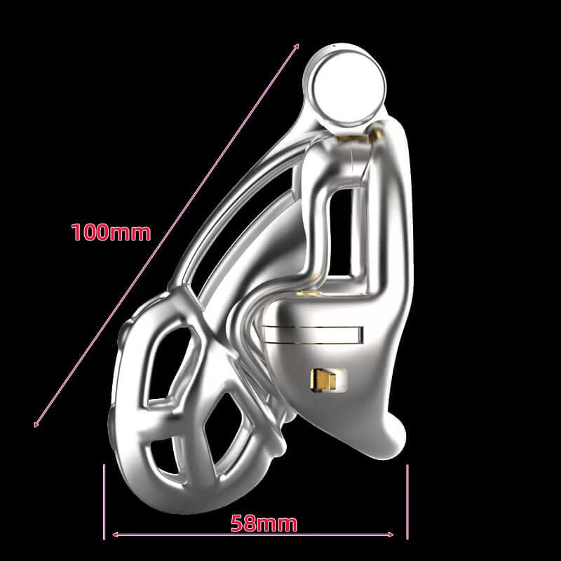 Double-Lock Mamba Stainless Steel Cock Cage – metalchastity