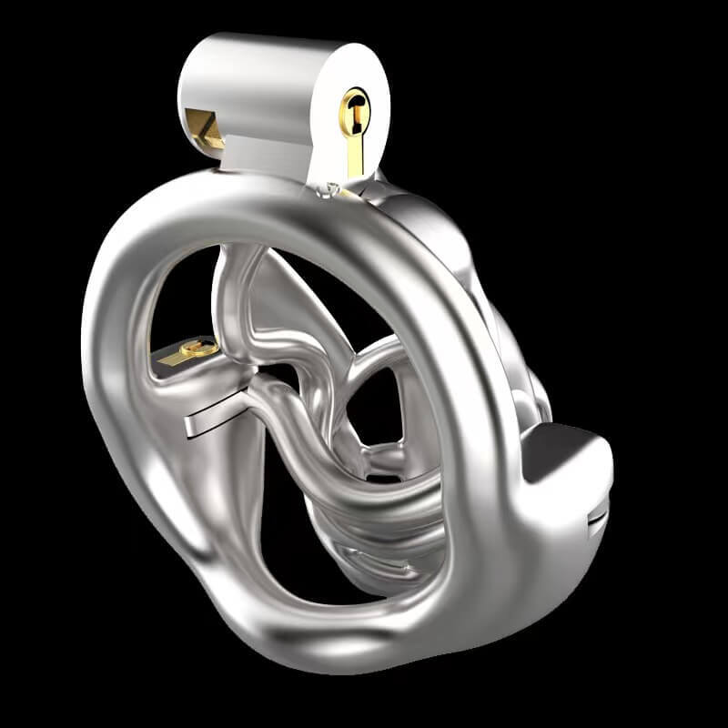 Double-Lock Mamba Stainless Steel Cock Cage – metalchastity