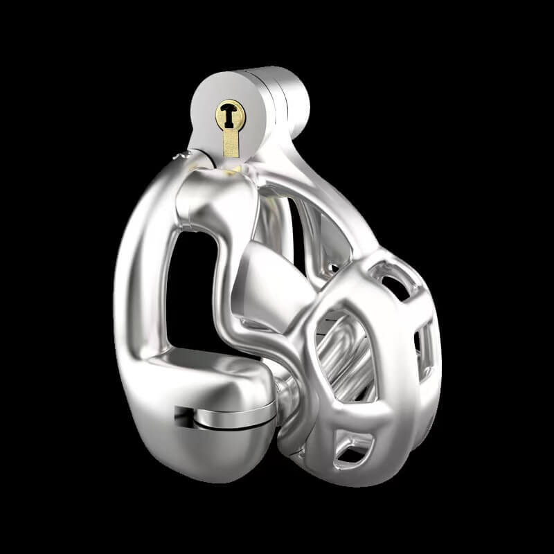 Double-Lock Mamba Stainless Steel Cock Cage – metalchastity